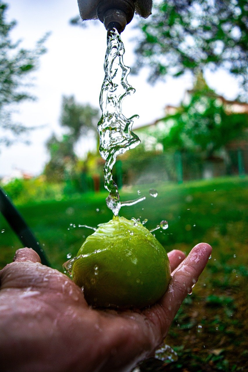 Healthy Habits Start With Clean Fruit: How To Clean Fruit Like A Pro ...